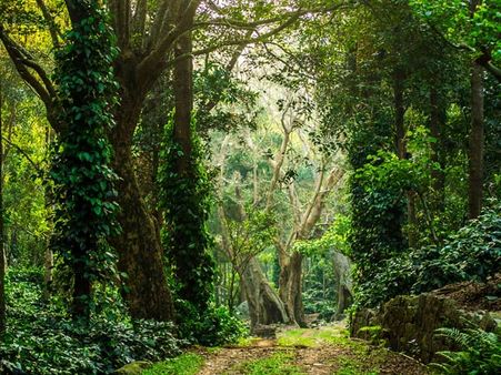 The Jewel of the South - Yercaud - Nativeplanet