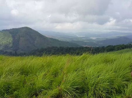 7 Unknown Offbeat destinations In Idukki - Part II - Nativeplanet