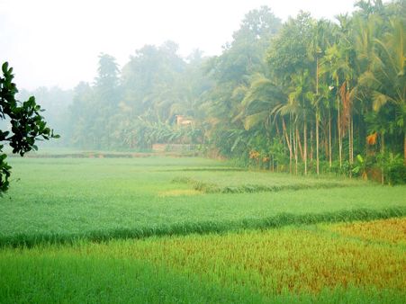 10 Unspoken Destinations Of India, Which You Must Visit Before They Go ...