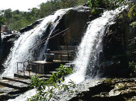 Koundinya Wildlife Sanctuary In Andhra Pradesh - Nativeplanet