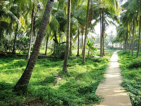 Azhikode And Azhikkal Travel Guide, Attractions And How To Reach ...