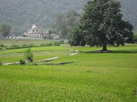 Satpuli Travel Guide, Attractions And How To Reach - Nativeplanet