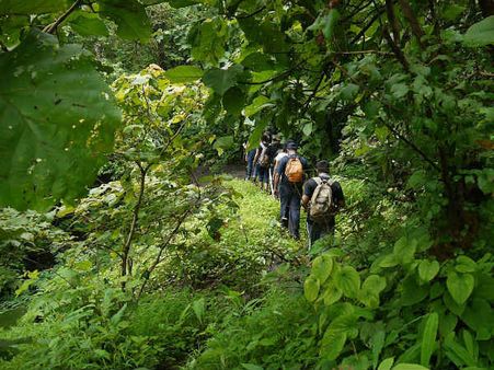 Manikgad Fort Near Mumbai Travel Guide, Attractions And How To Reach ...