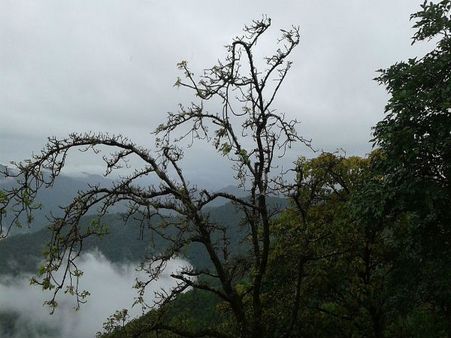 Chorla Ghat in Goa, Travel Guide, Attractions and How to Reach ...