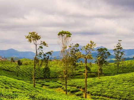 Treasures of Nature at Pollachi, Tamil Nadu - Nativeplanet