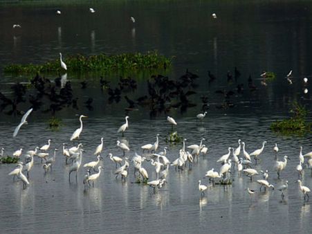 Travel to the Scenic City of Coimbatore - Nativeplanet