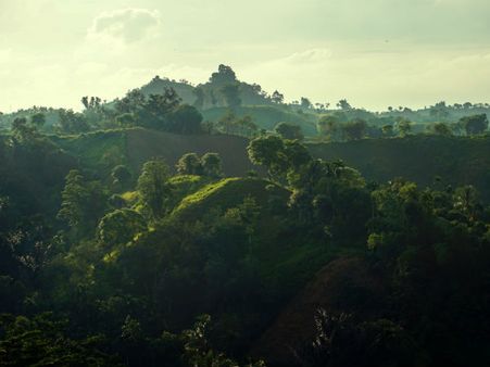 To The Incredible Wilson Hills In The Western Ghats - Nativeplanet