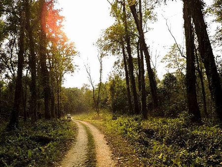 10 Best Places In And Around Lataguri - Nativeplanet