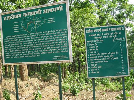 Explore The Beauty Of Lakes And Wildlife In Hazaribagh - Nativeplanet