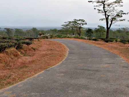 Samsing in West bengal, Torusim, Attractions and How to Reach ...