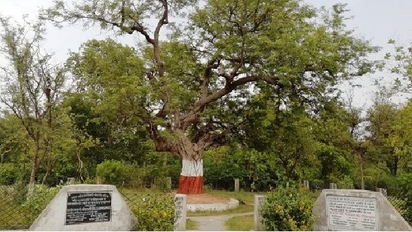 बावनी इमली स्मारक : बुढ़ा इमली का पेड़ आज भी सुनाता है 52 ...