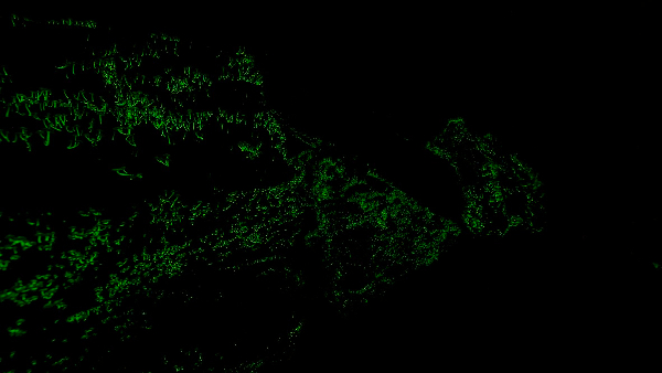 मानसून में गोवा के समुद्रतट नहीं बल्कि घूमें यह Magical वाइल्डलाइफ ...