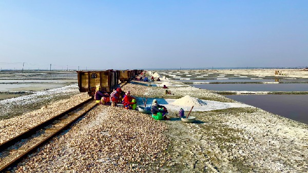 राजस्थान का सांभर झील : बीच रेगिस्तान में मौजूद है खारे पानी की झील ...