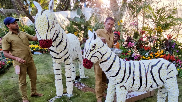 चेन्नई में शुरू हुआ फ्लावर शो 2025 : कब तक चलेगा और क्या है एंट्री ...