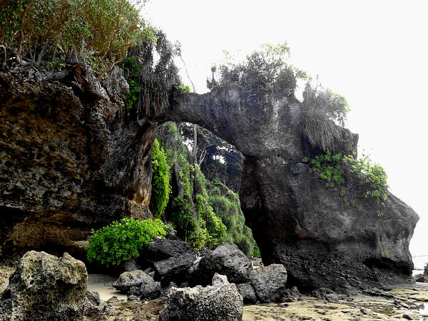 Ease by the Neil Island - Nativeplanet