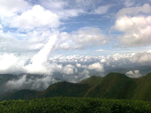 Kerala's First Orchid Garden! - Nativeplanet