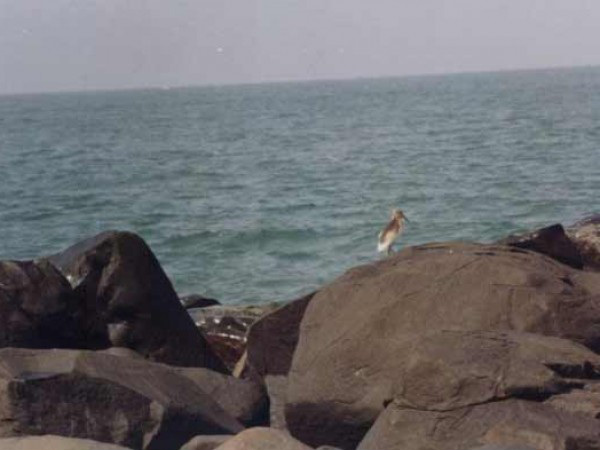 Places to Visit in Byndoor - Nativeplanet