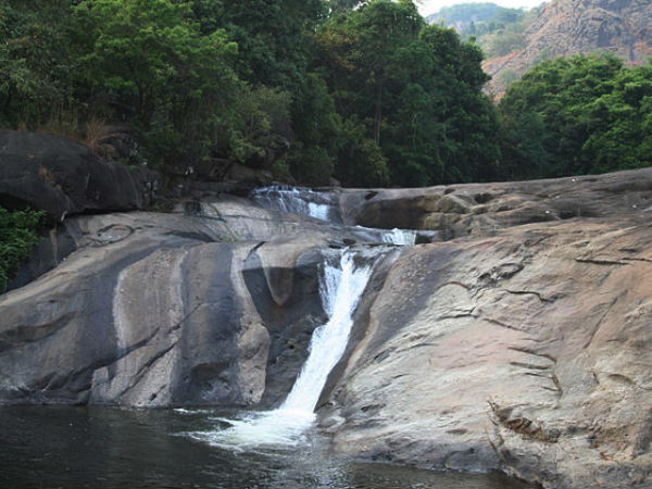 Travel to the Teak Town of Nilambur - Nativeplanet