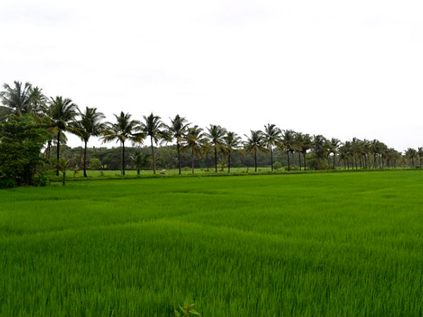 5 Interesting Ways to Experience Goa! - Nativeplanet