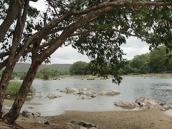 An Exciting One Day Trip From Bangalore to Muthathi - Nativeplanet