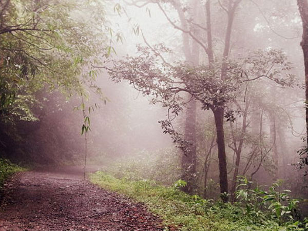 The Heavenly Beauty of Gavi in Kerala - Nativeplanet