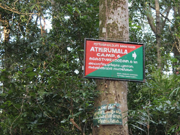 Agasthyamala: A Trek to the Paradise For a Total Rejuvenation ...