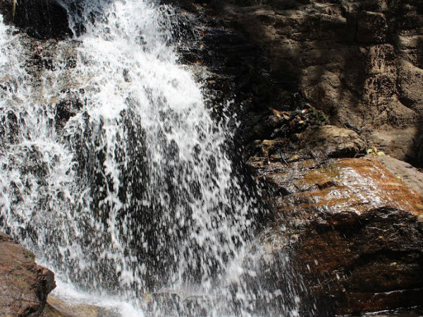 Agasthyamala: A Trek to the Paradise For a Total Rejuvenation ...