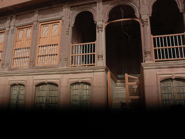 Catch up with Cranes in Khichan - Nativeplanet