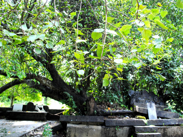 Udupi Diaries - Travel to the Holy Land of Pajaka - Birth place of Sri ...