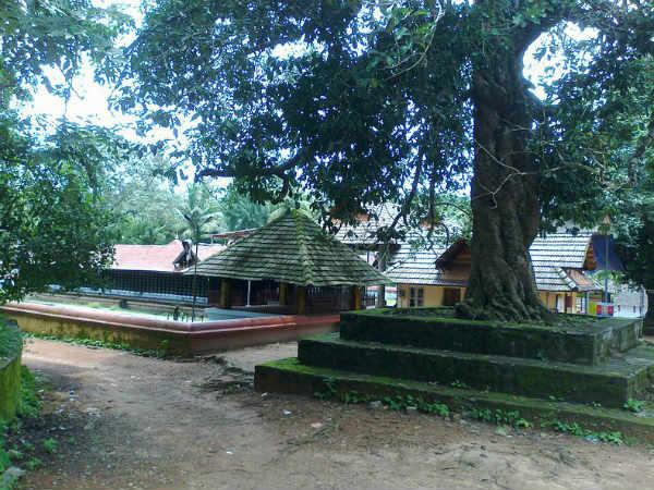 Navratri Utsav : 4 Ambika Temples in South India - Nativeplanet