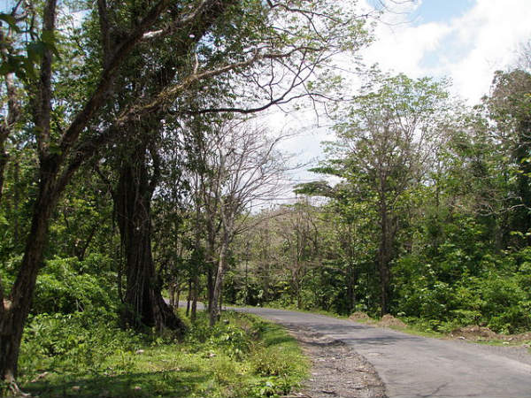 In the Unexplored Baratang Island in Andaman - Nativeplanet