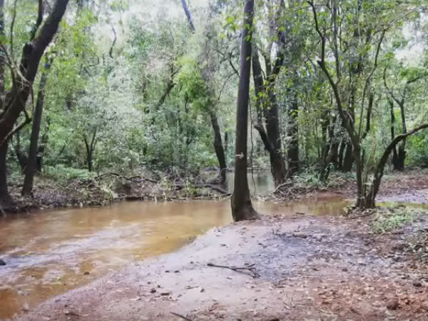 A Day in Mollem National Park - Nativeplanet