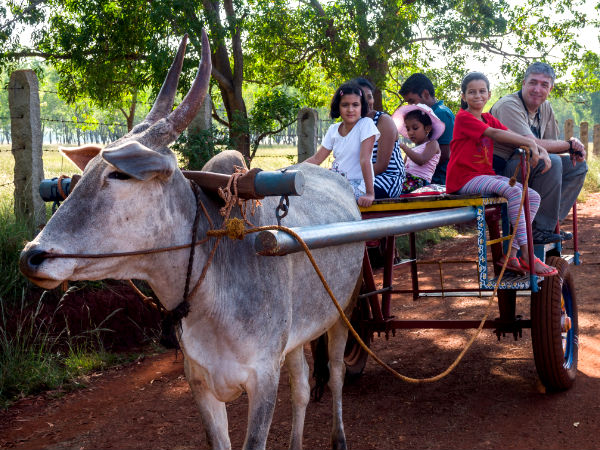 Tips to Travel to Rural India - Nativeplanet