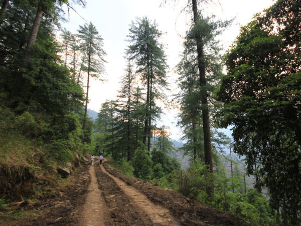 Enthralling Tales of Sankri Village in Uttarakhand - Nativeplanet
