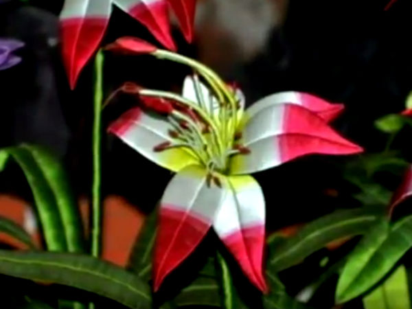 Visit to the Unique Thread Garden in Ooty - Nativeplanet