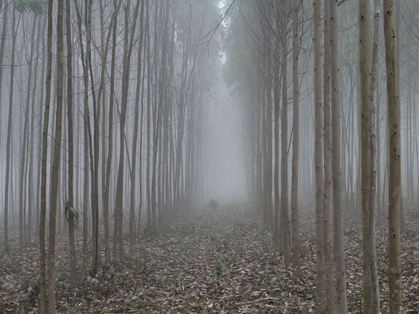 Lambasingi – The Kashmir Of South India - Nativeplanet