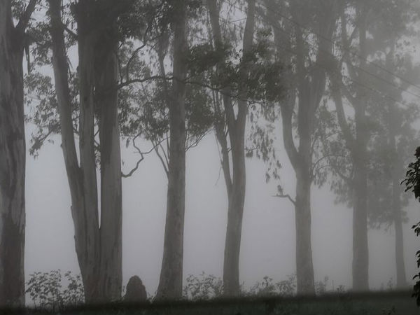 Lambasingi – The Kashmir Of South India - Nativeplanet