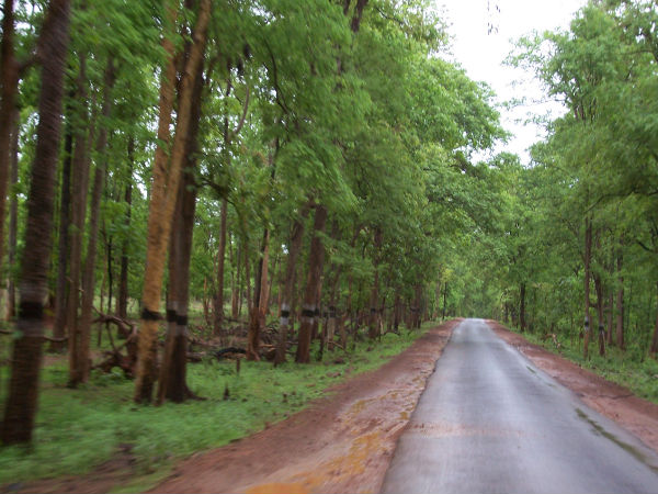 Lambasingi – The Kashmir Of South India - Nativeplanet