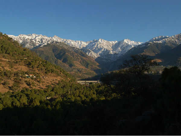 Get To Know Palampur: The Tea Capital Of North India - Nativeplanet
