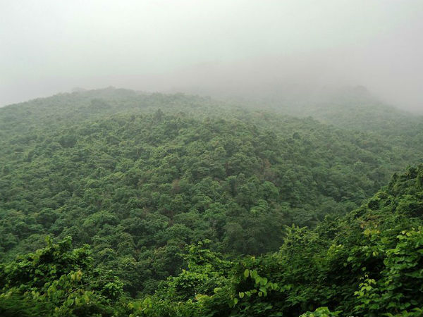 A Guide To Netarhat: The Queen Of Chotanagpur - Nativeplanet