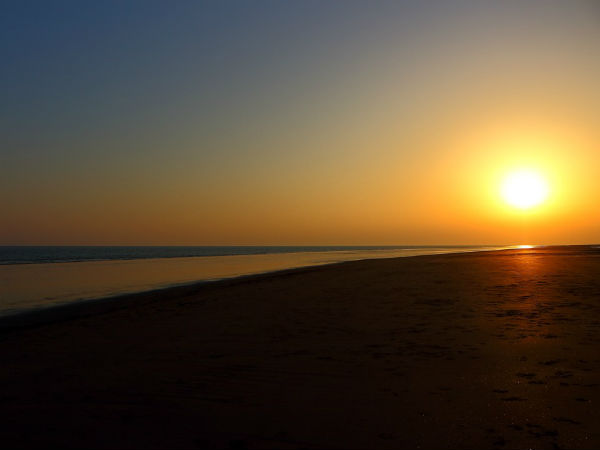 Velas - Home To Olive Ridley Turtles - Nativeplanet