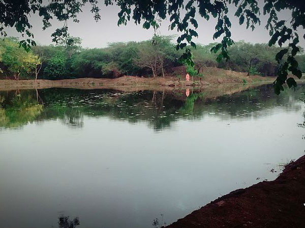 Ghastly Tale Of The Sanjay Van In South Delhi! - Nativeplanet