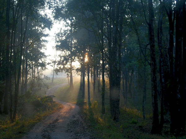 All About The Beautiful Town Of Kalpetta - Nativeplanet