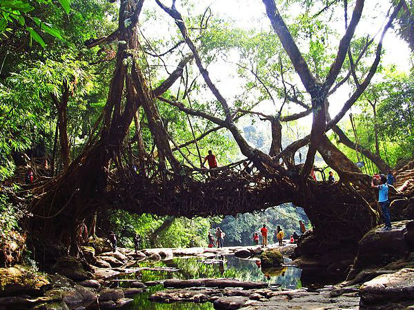 Visit Mawlynnong – The Cleanest Village In Asia - Nativeplanet