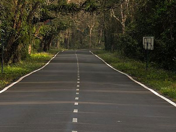 10 Best Places In And Around Lataguri - Nativeplanet