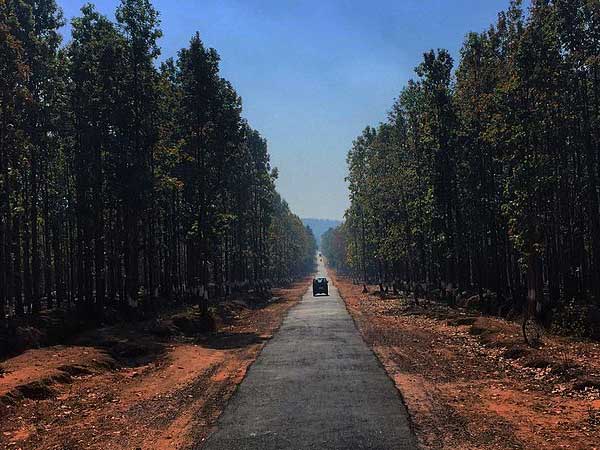 Kolkata To Ranchi: Places To Visit In And Around This Smart City ...