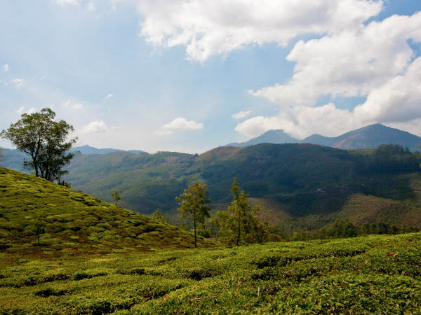 Places To Visit In Palampur, attractions & Things To Do - Nativeplanet