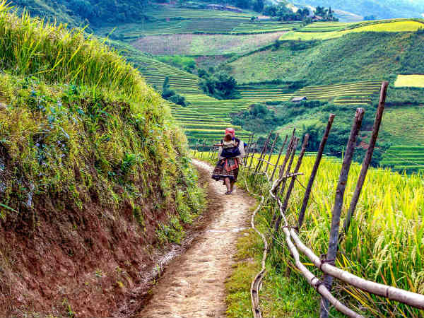 The Beautiful Hamren In Assam, How To Reach, Why To Visit - Nativeplanet