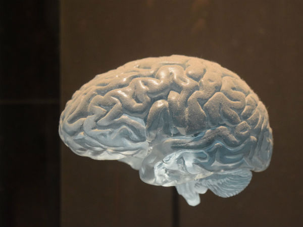 All About India's First Ever Brain Museum, Location And How To Reach ...