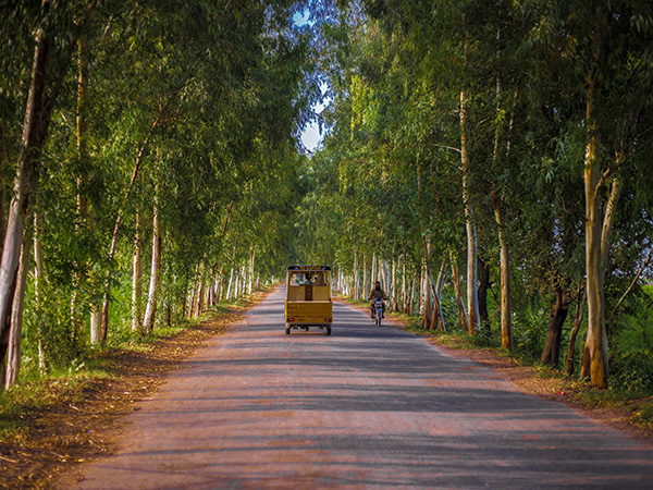 Places To Visit In Abohar, Things To Do And How To Reach - Nativeplanet